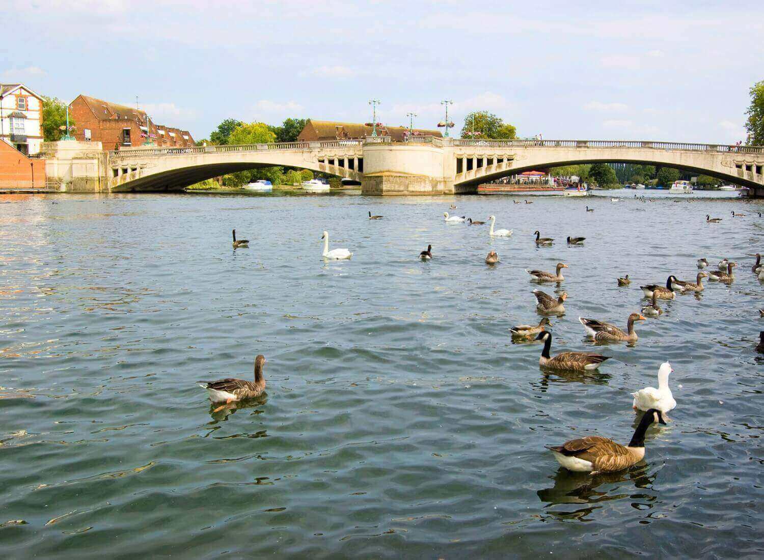 Letting Agents in Earley: Free Rental Valuations - haart